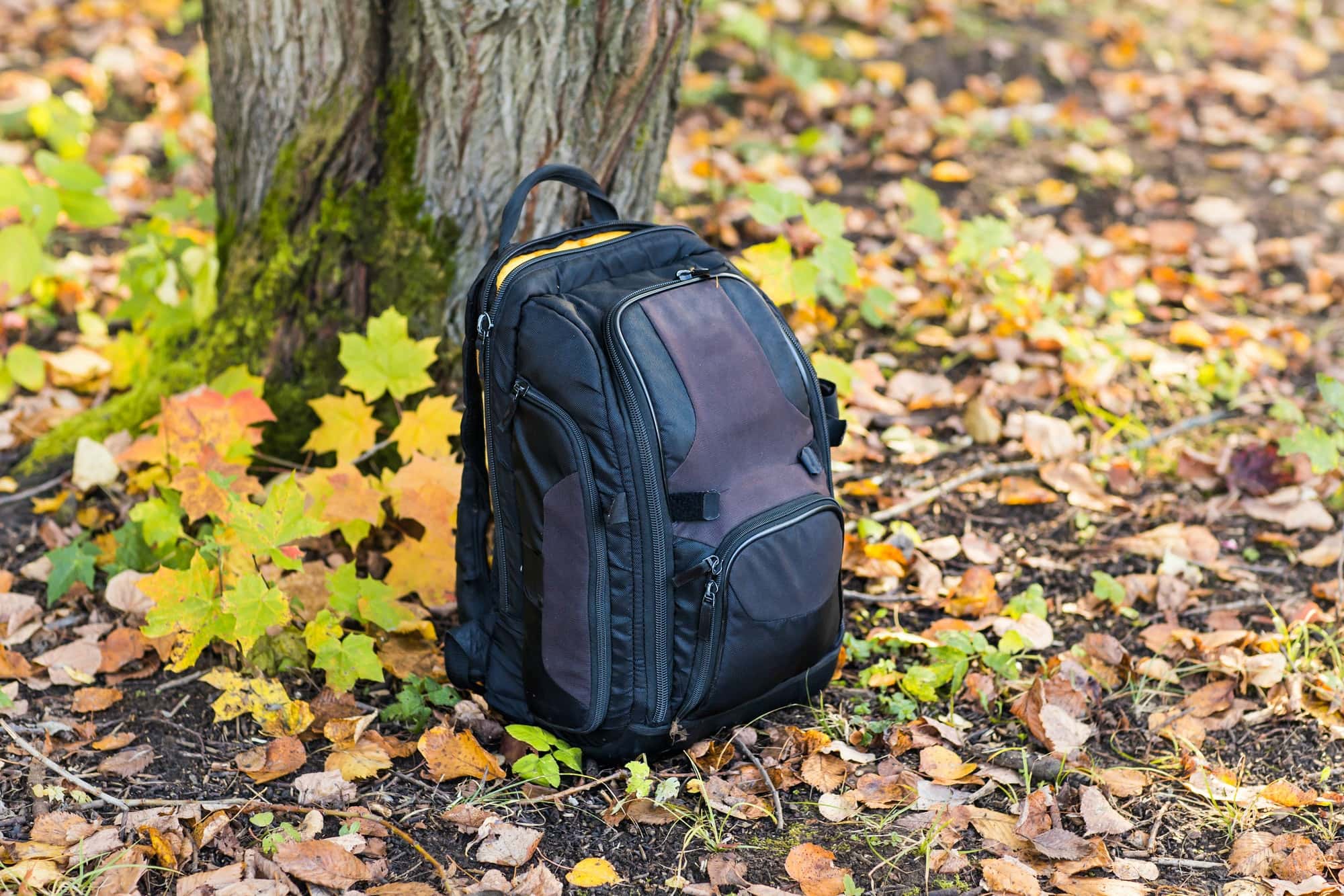 Backpack Manufacturer: The Ultimate FAQ Guide - HONEYOUNG